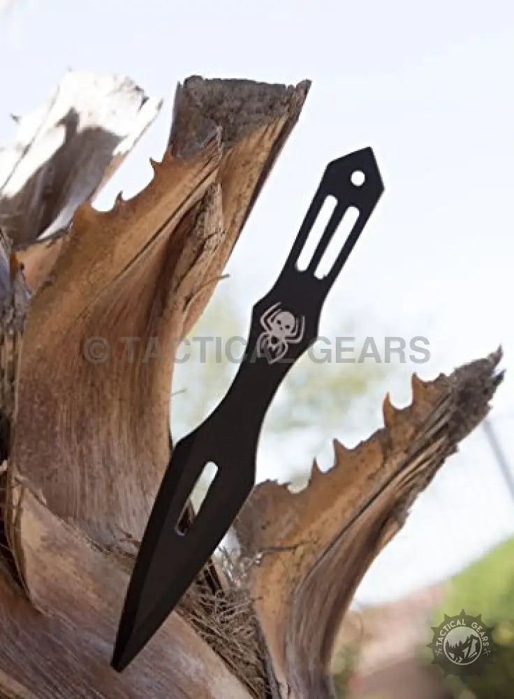 Master Precision Throwing Knives Spider Skull Design – TacticalGears.pk